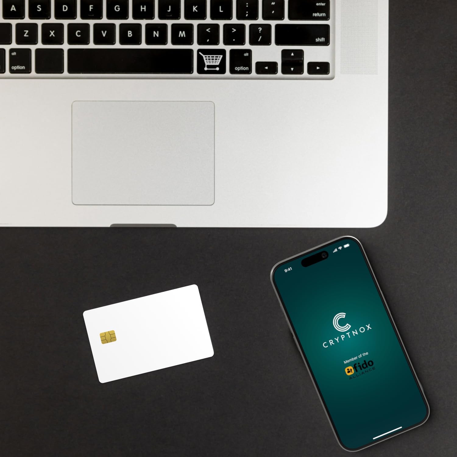 Cryptnox FIDO2 Security Key – Passwordless | Shop.Cryptnox